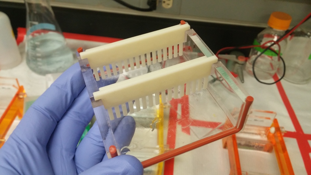 16 well multichannel comb by destroyer2012 | Download free STL model ...