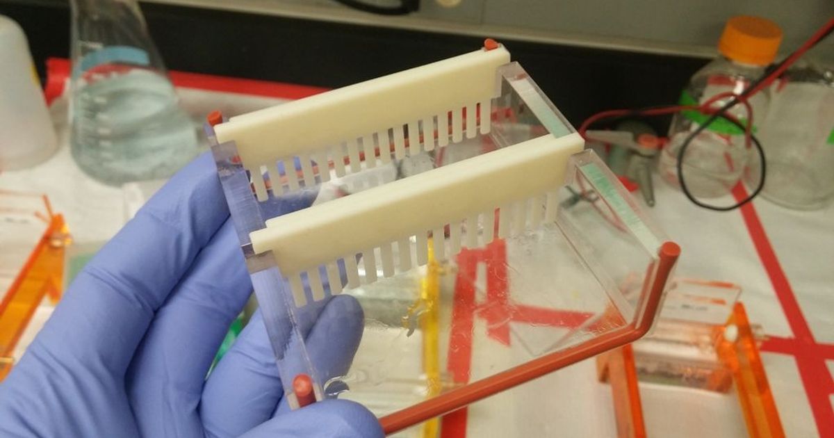 16 well multichannel comb by destroyer2012 | Download free STL model ...