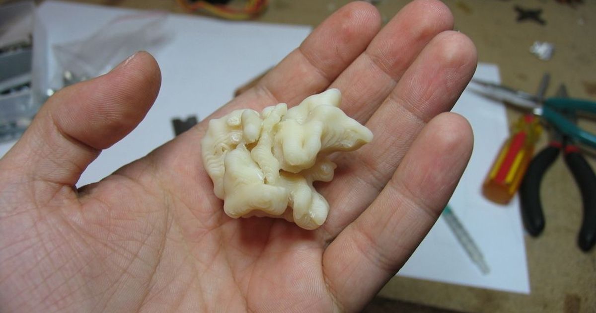 RNA Polymerase by destroyer2012 | Download free STL model | Printables.com