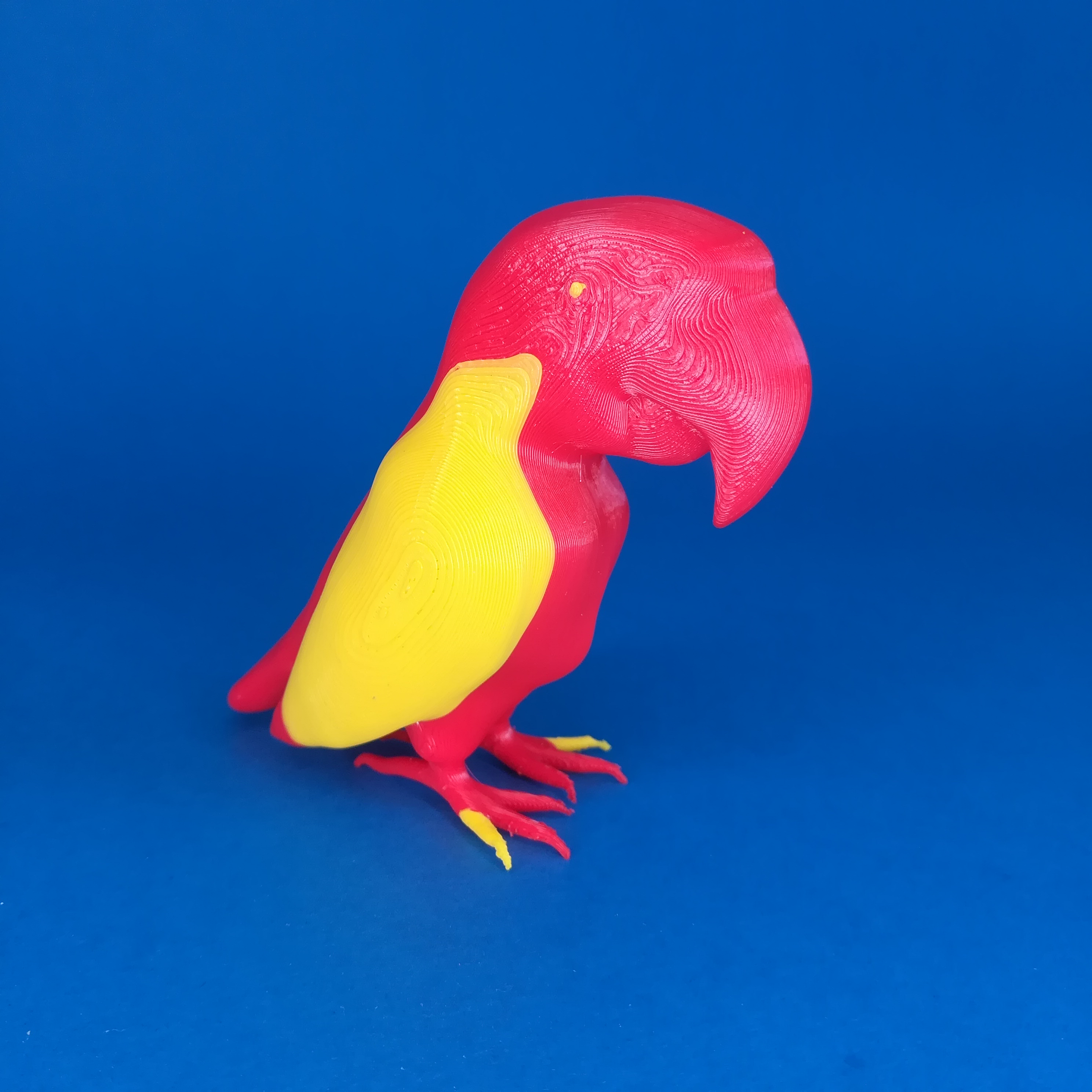 Sculpted model of a parrot singlecolor or multicolor by Third Dimension ...