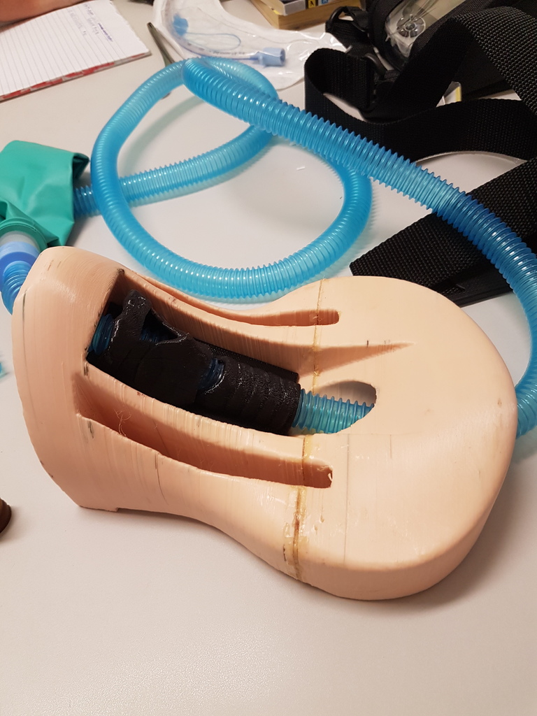 CICO Rescue Cricothyroidotomy Trainer V2 by frankv | Download free STL ...