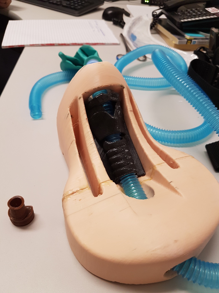 CICO Rescue Cricothyroidotomy Trainer V2 by frankv | Download free STL ...