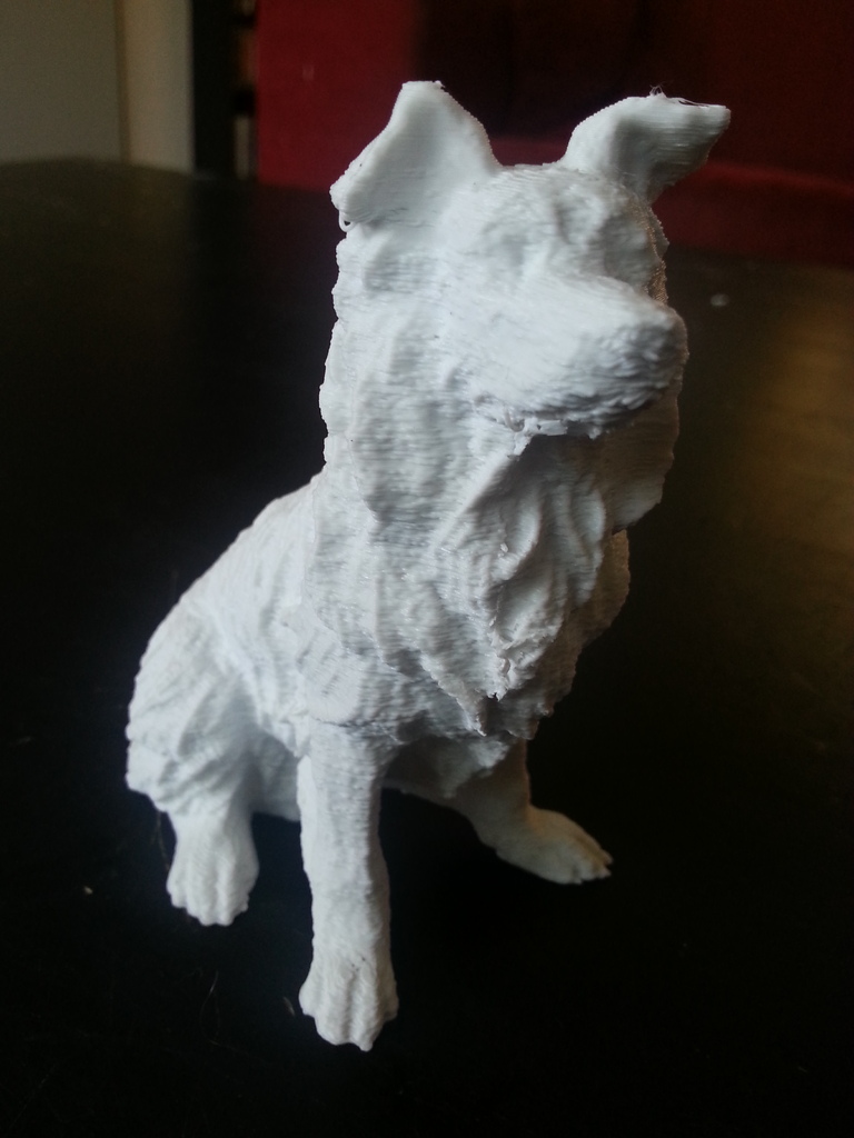 Border Collie Dog by Jochem | Download free STL model | Printables.com