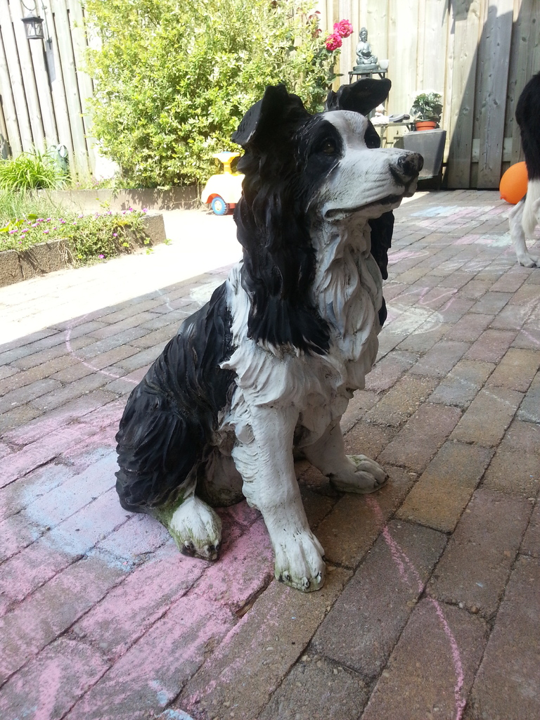 Border Collie Dog por Jochem | Descargar modelo STL gratuito ...