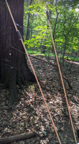 MTB Spider Web Sweeper by sterlinggold | Download free STL model ...