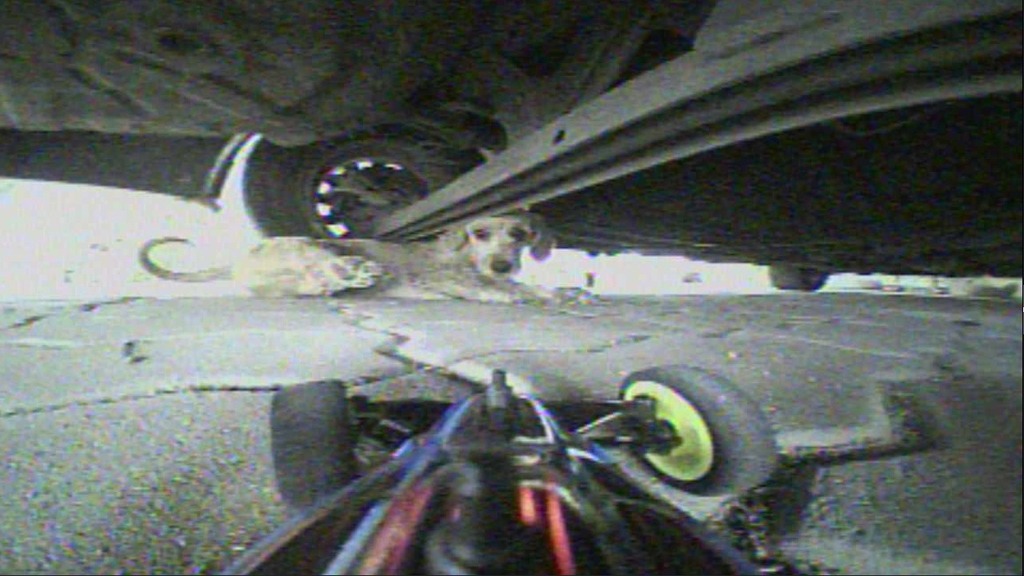 Velocis Fpv Camera Holder by ERKARK | Download free STL model ...