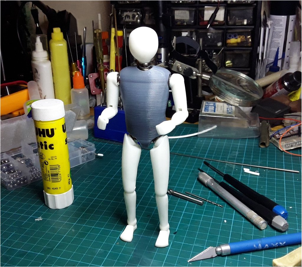 PM Mannequin by Phil M | Download free STL model | Printables.com