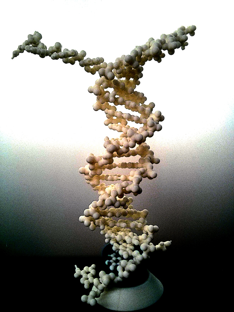 Folding DNA model kit. por mkuiper | Descargar modelo STL gratuito ...