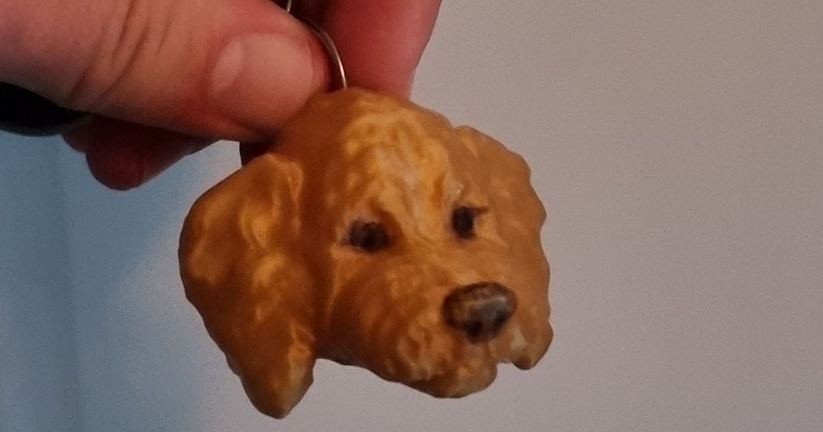 Labradoodle keychain for keyring by Voxel3D_Nederland | Download free ...