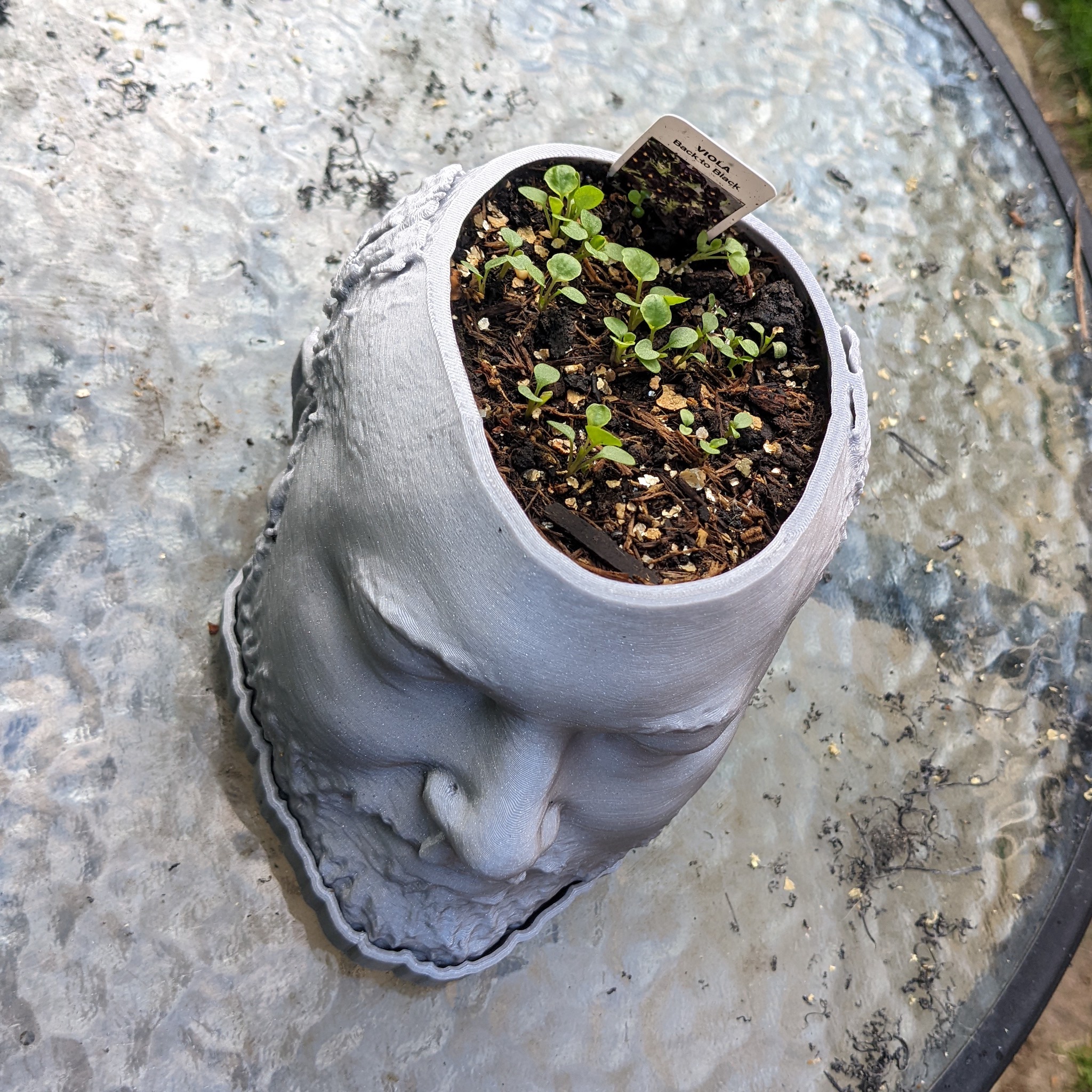 Pot-head by Nigel Johnson | Download free STL model | Printables.com