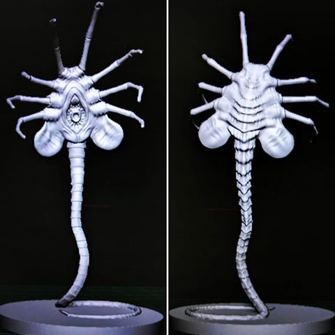 Alien Facehugger by MrFox | Download free STL model | Printables.com