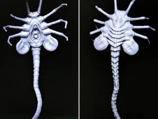 Alien Facehugger by MrFox | Download free STL model | Printables.com