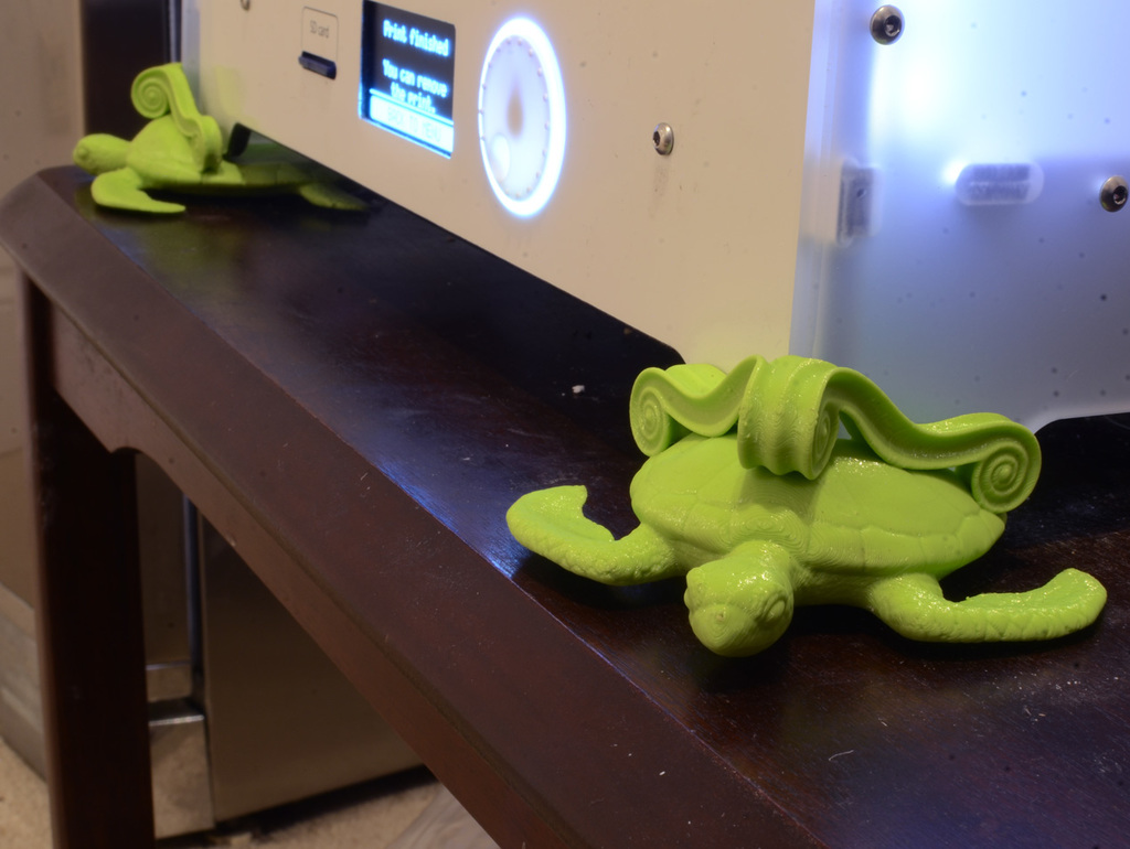 Turtle Feet by SavageRodent | Download free STL model | Printables.com