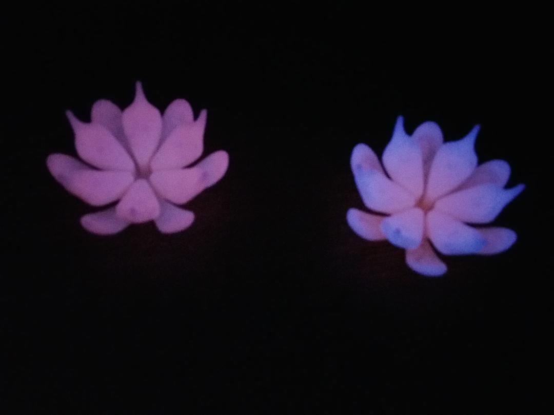 Decorative flower by 1nvadertim | Download free STL model | Printables.com