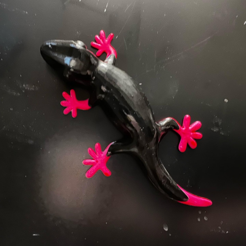 Sticky Gecko - magnet by scandiprint3d | Download free STL model ...