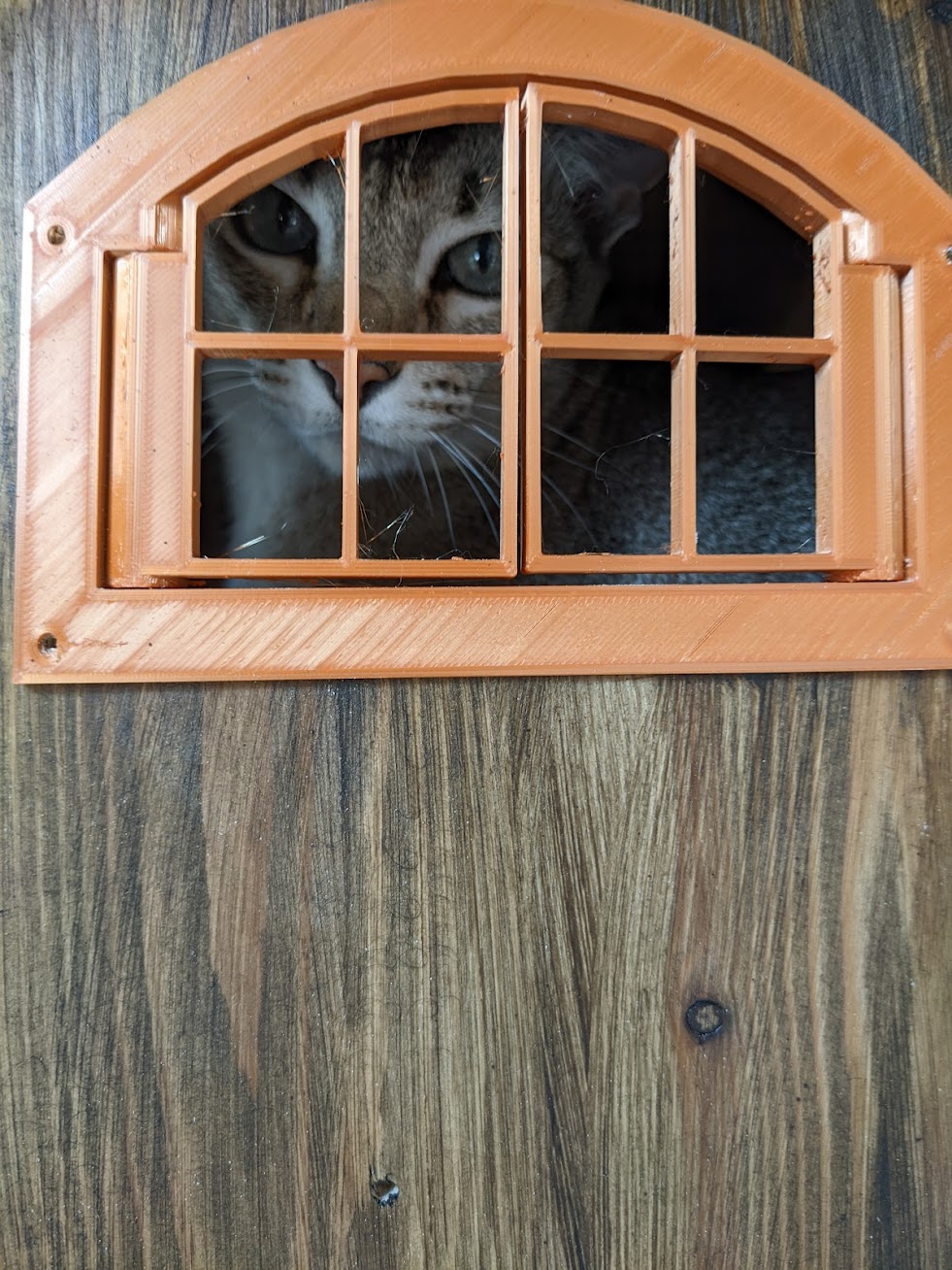 Print-in-Place Cannon hatches and Galleon windows by remington ...
