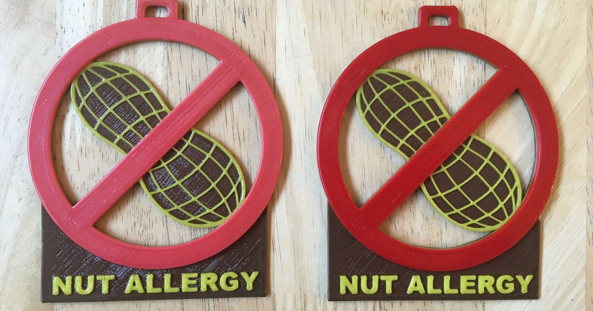 Nut Allergy Pendant by jediknight0 | Download free STL model ...