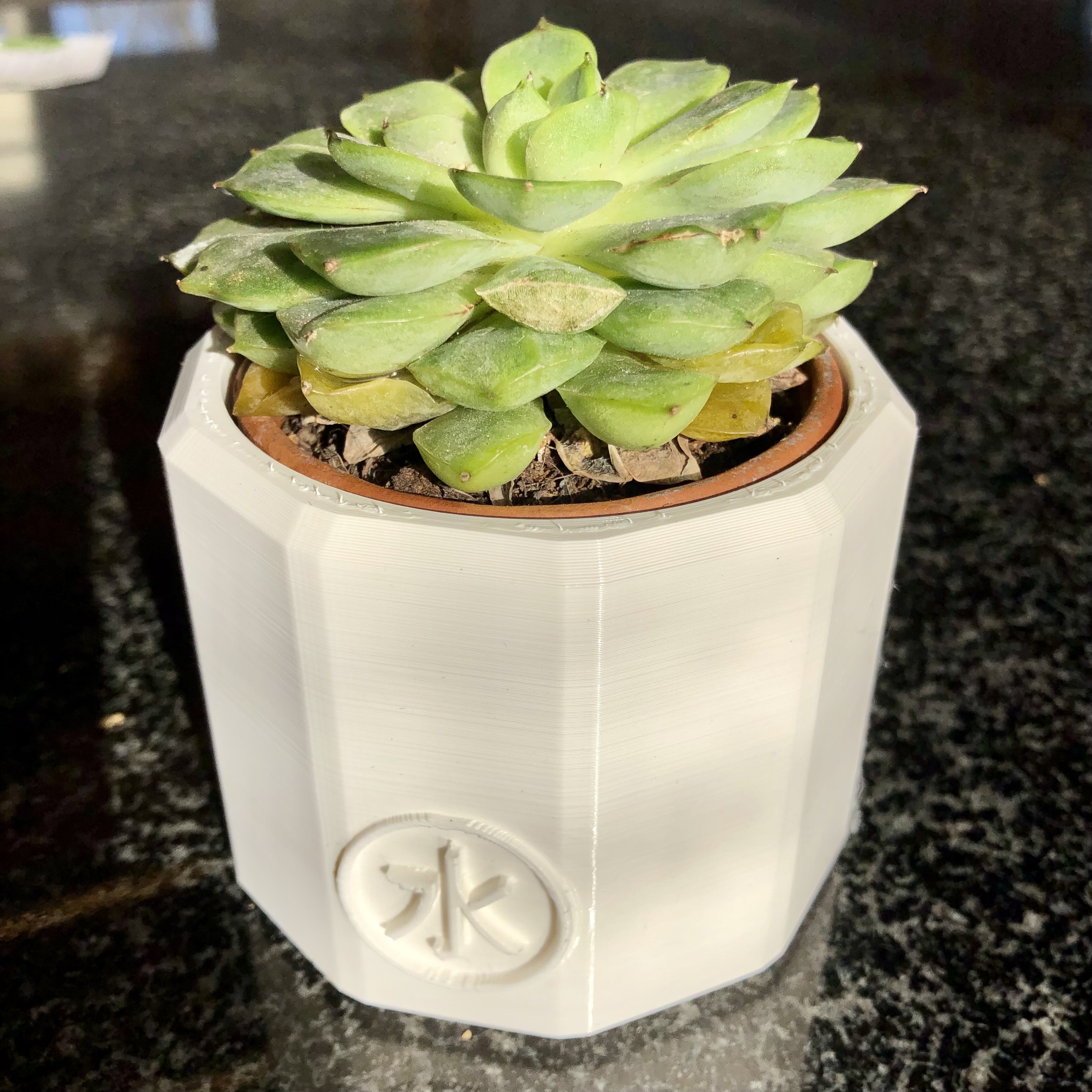 Mini flower / plant pot - Feng shui by Girard Station | Download free ...