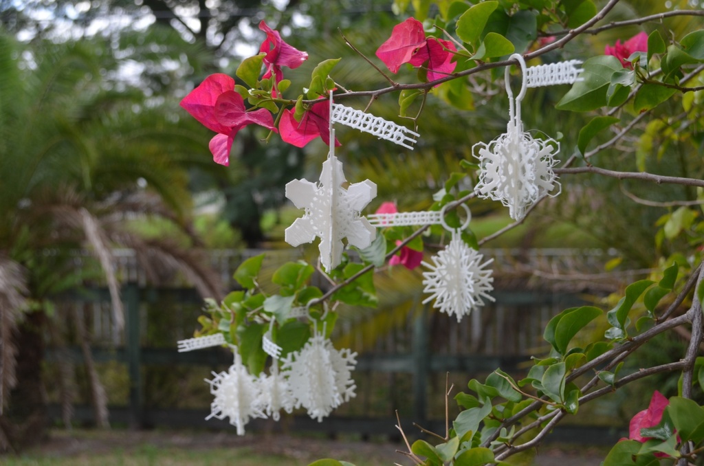 Blizzard of Customizable, Mailable Snowflake Ornaments: with ...