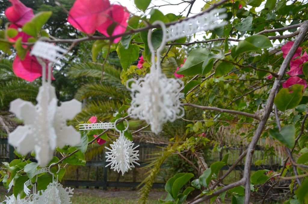 Blizzard of Customizable, Mailable Snowflake Ornaments: with ...