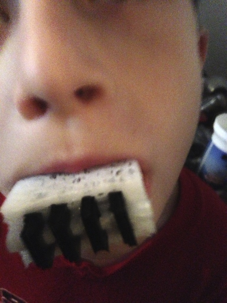 Customizable Chewie by Laird Popkin | Download free STL model ...