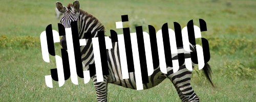 Muse MU-D50W T-amp Case by p2baron | Download free STL model ...