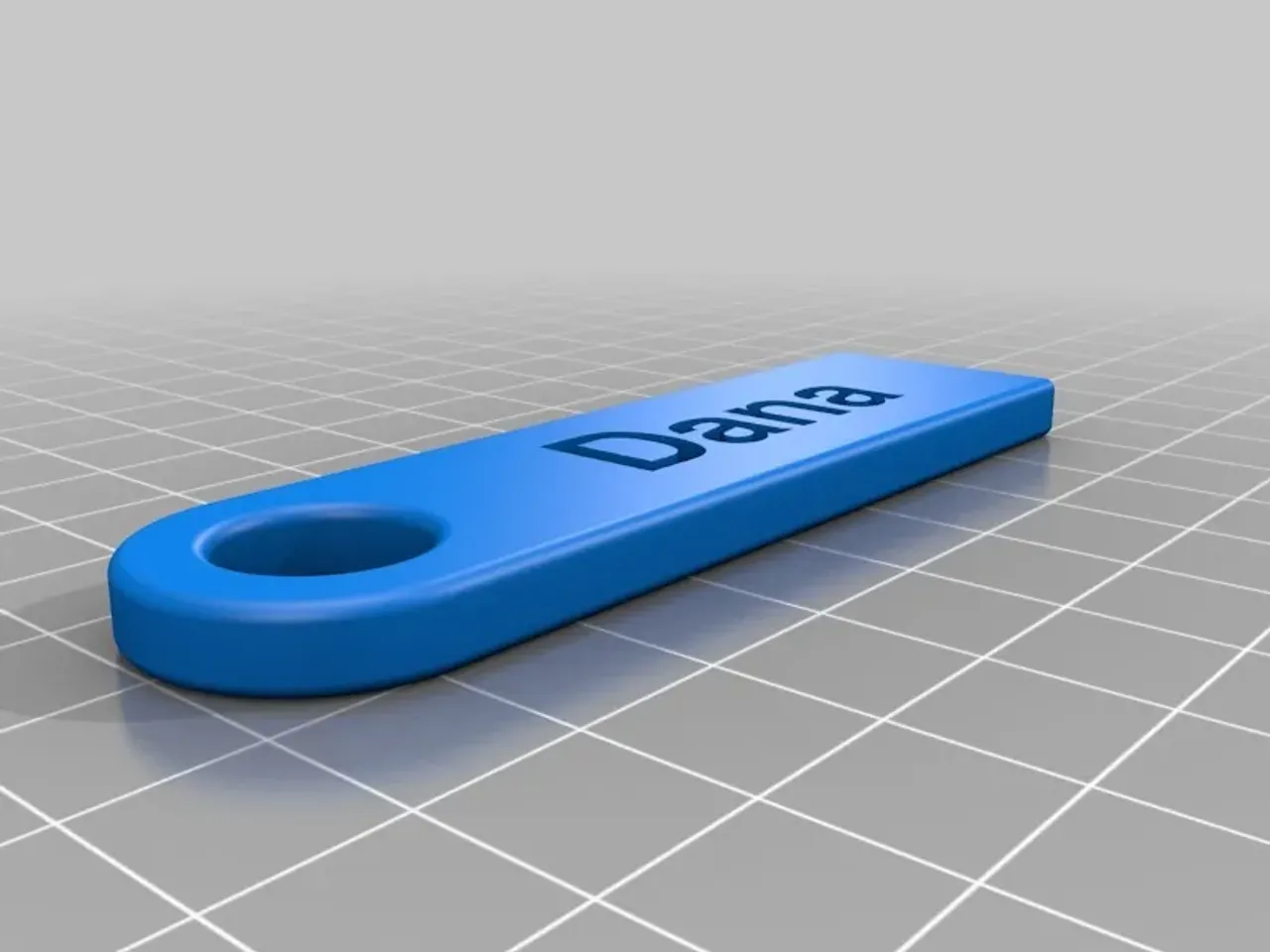 Dana Key Chain by Rich L. | Download free STL model | Printables.com