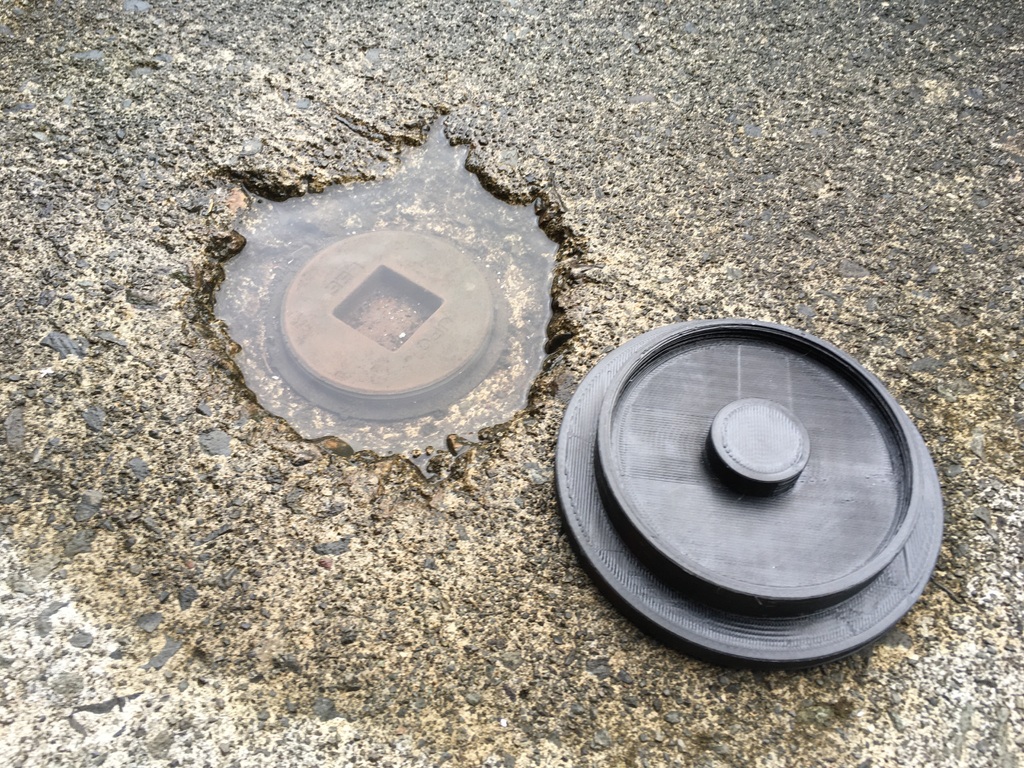 sewer clean-out plug, COVER by atypicalengineer808 | Download free STL ...