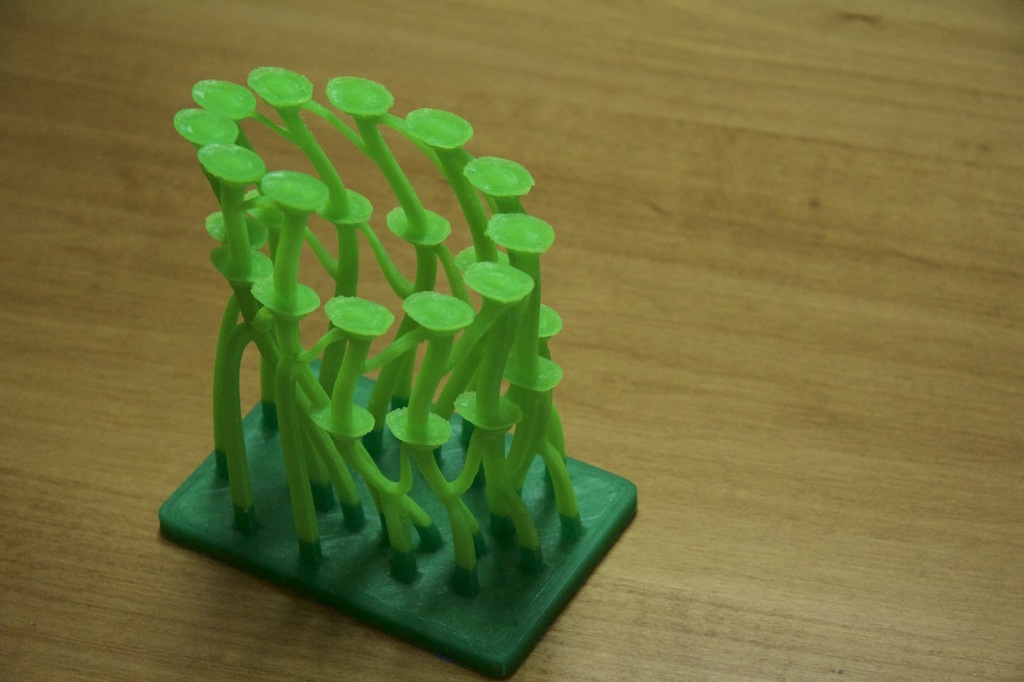 Spiral Flowers by SteedMaker | Download free STL model | Printables.com