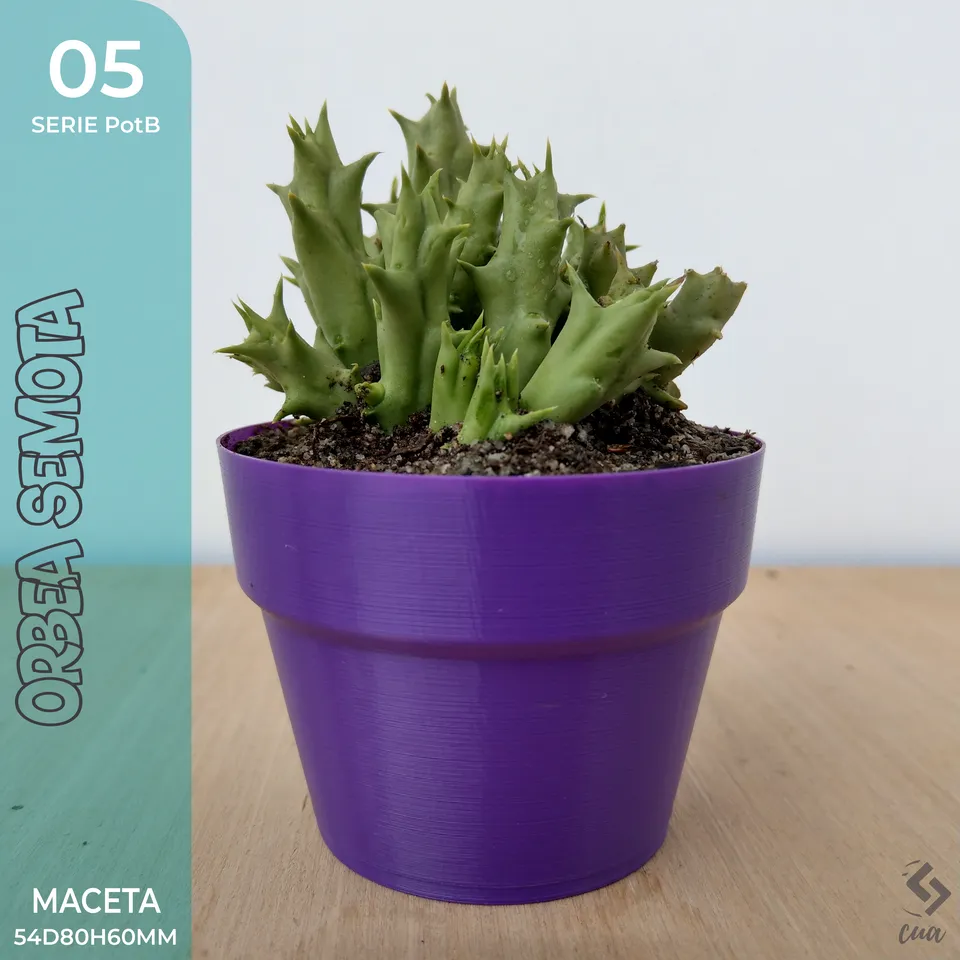 Pot B_05 by 3Dcua | Download free STL model | Printables.com