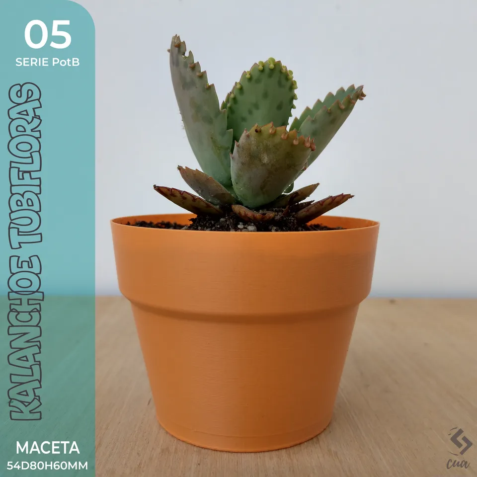 Pot B_05 by 3Dcua | Download free STL model | Printables.com