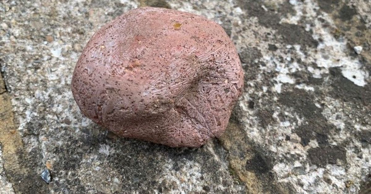 Rock Geocache container by SquidgyPlastic | Download free STL model ...
