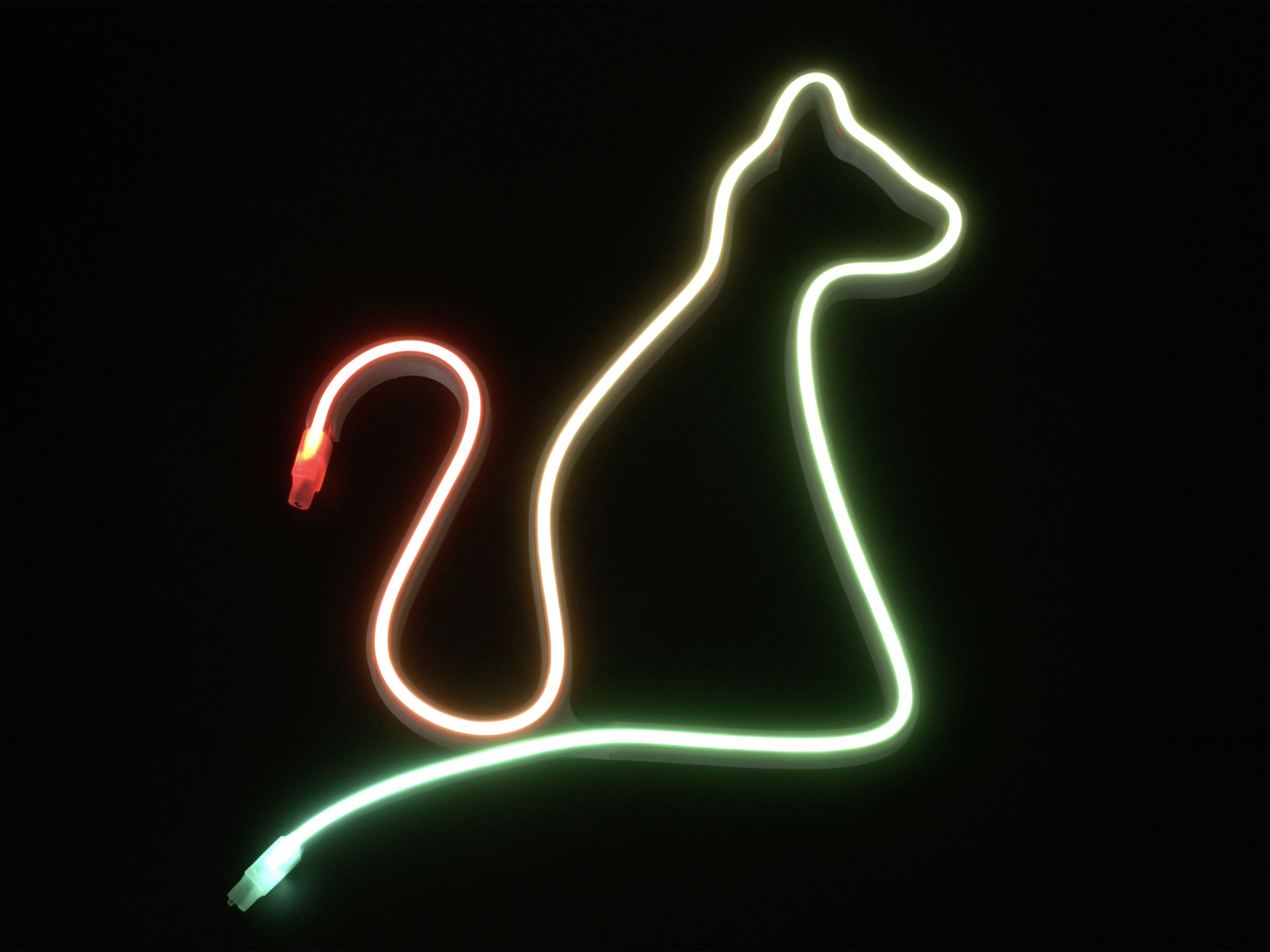 LED Neon Signs by Adafruit | Download free STL model | Printables.com