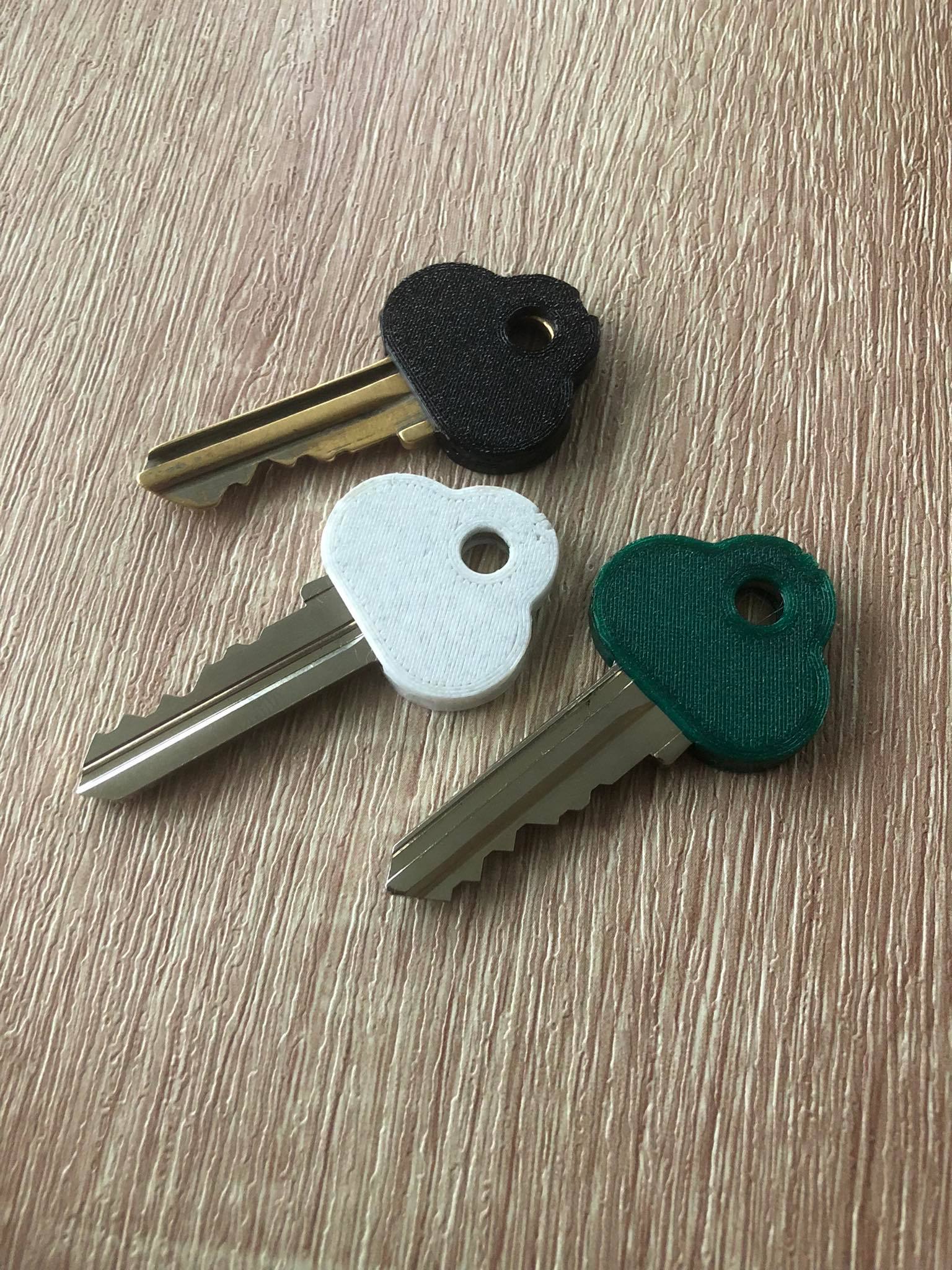 Key Cases! by Bryn Parish | Download free STL model | Printables.com