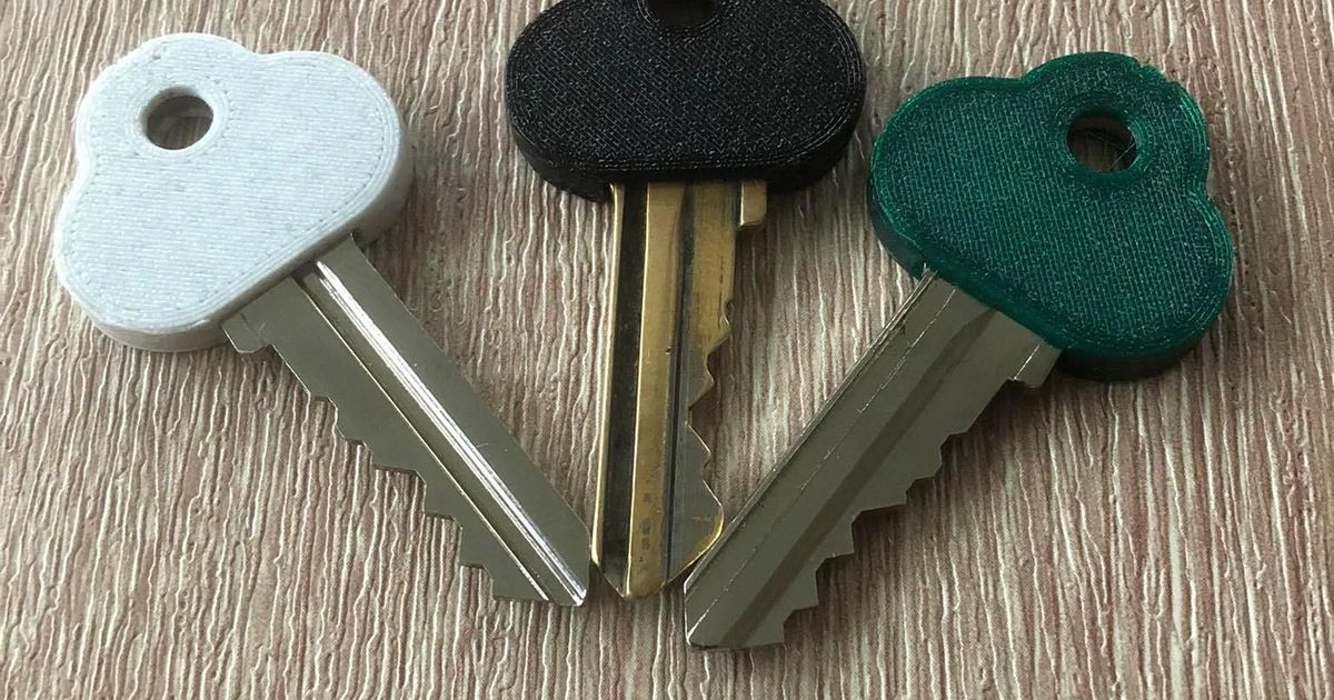 Key Cases! by Bryn Parish | Download free STL model | Printables.com