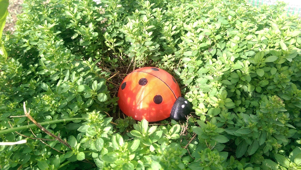 The Cute LadyBug! by Spongebob | Download free STL model | Printables.com