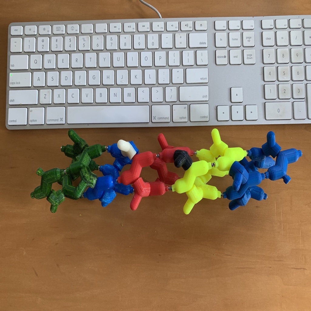 Movable, H-bonded polypeptide - print-in-place by robmlr | Download ...