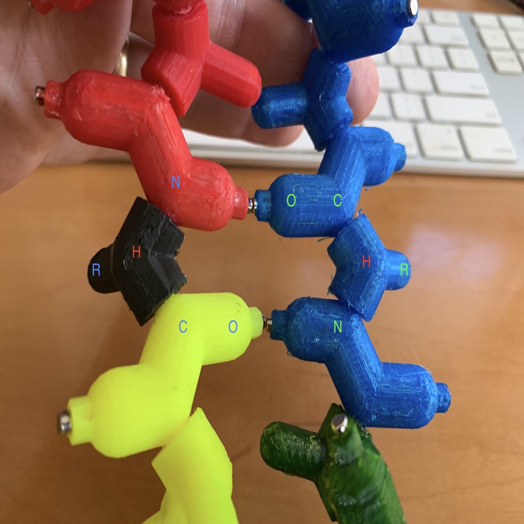 Movable, H-bonded polypeptide - print-in-place by robmlr | Download ...