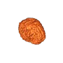 Full-size human brain by Julia Ebert | Download free STL model | Printables.com