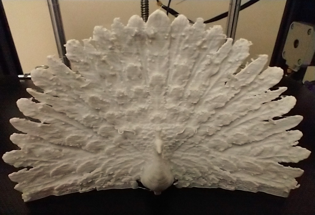 Peafowl / Peacock (model tilted and split to minimize support) von ...