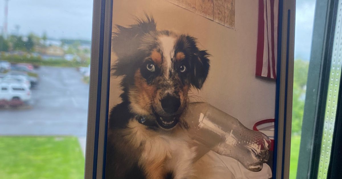 Simple 4x6 Picture Frame by KiloxTango | Download free STL model ...