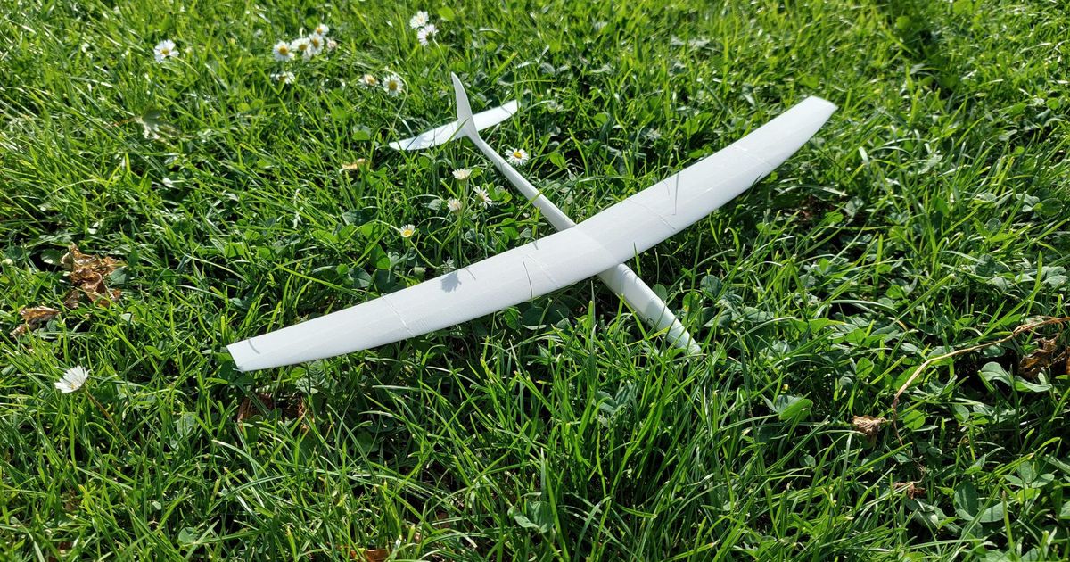 Lukisegler XXS 3d-printed free-flight plane by c-arts-modelle ...