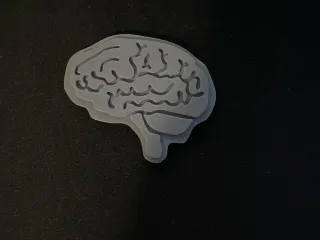 Brain Paperweight by Staitz | Download free STL model | Printables.com