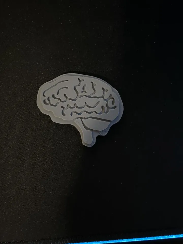 Brain Paperweight by Staitz | Download free STL model | Printables.com