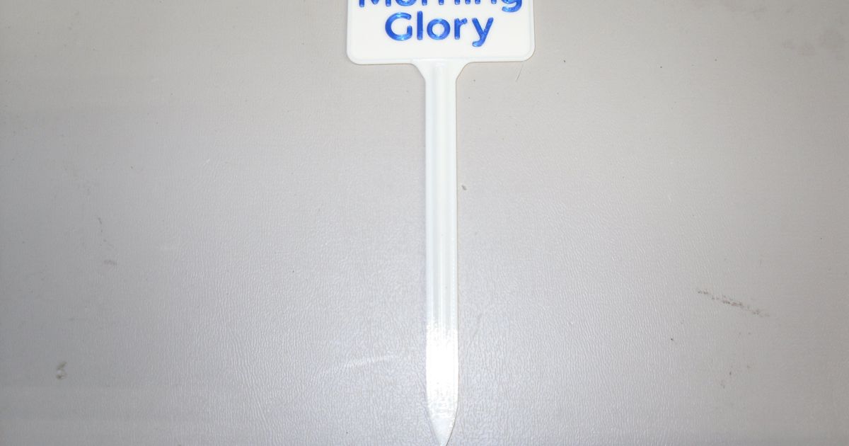 Plant Label Morning Glory by LMJ | Download free STL model | Printables.com
