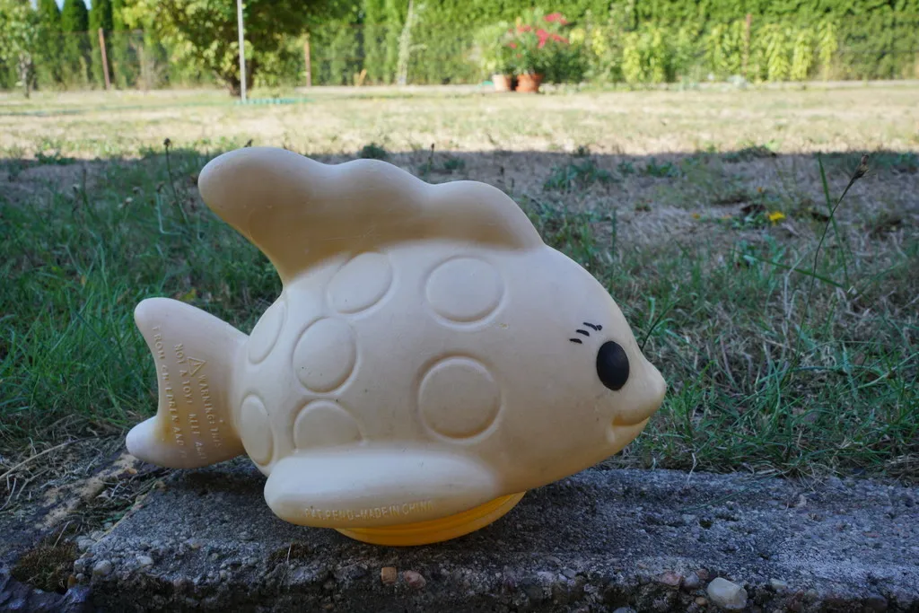 Fish scan / Multi Color by Stwebster | Download free STL model ...