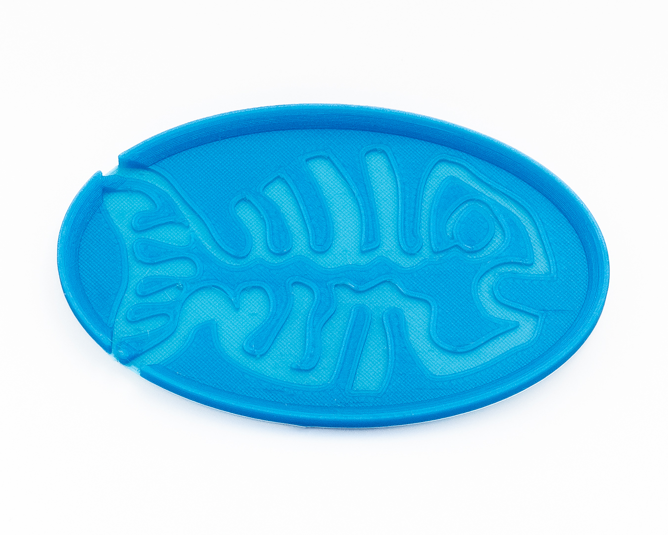 SOAP FISH ON A FOSSIL DISH by Peter H | Download free STL model ...