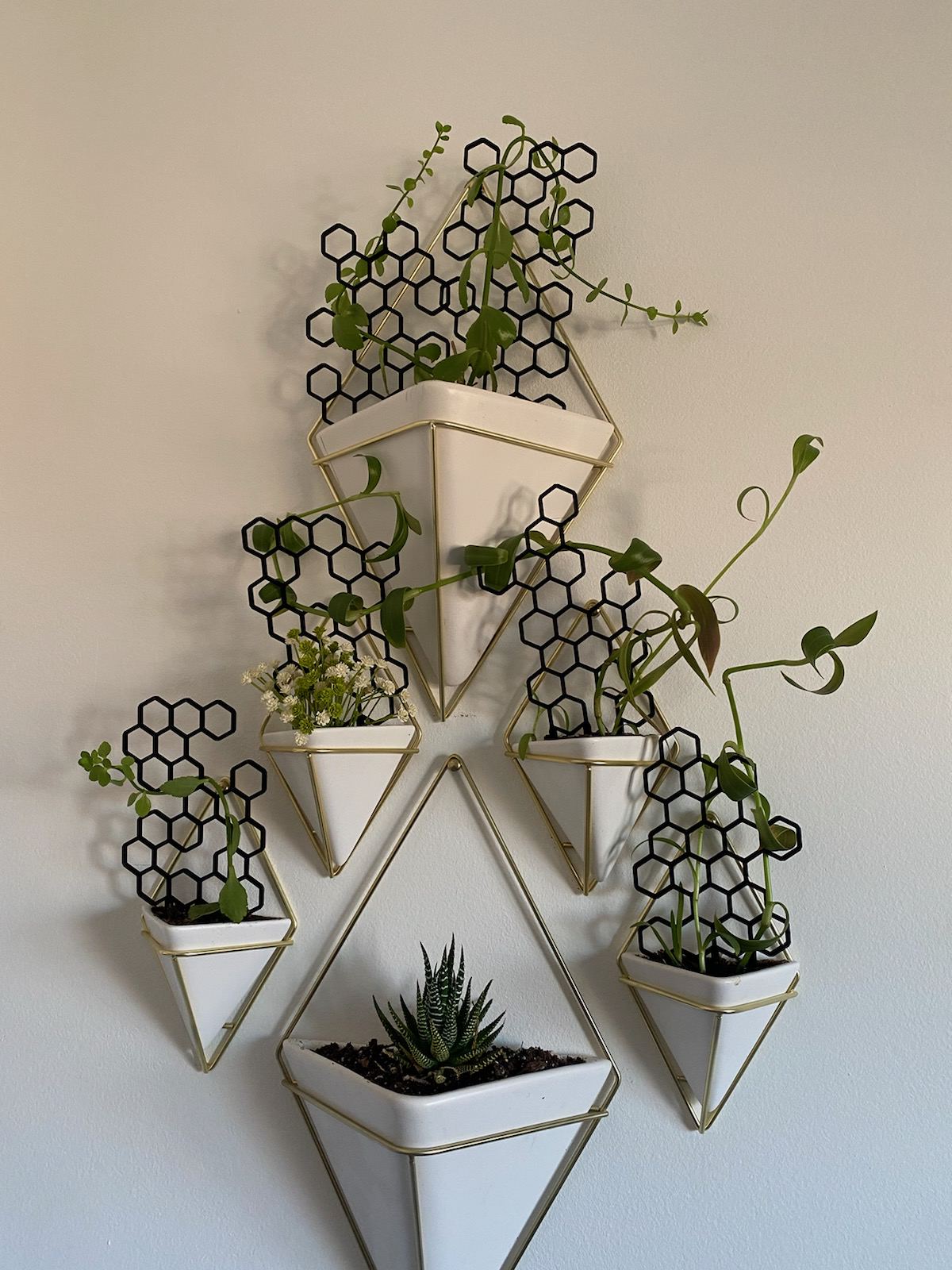 Hexagonal Plant Trellis by Rathus | Download free STL model ...