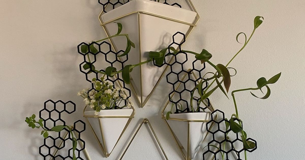 Hexagonal Plant Trellis by Rathus | Download free STL model ...