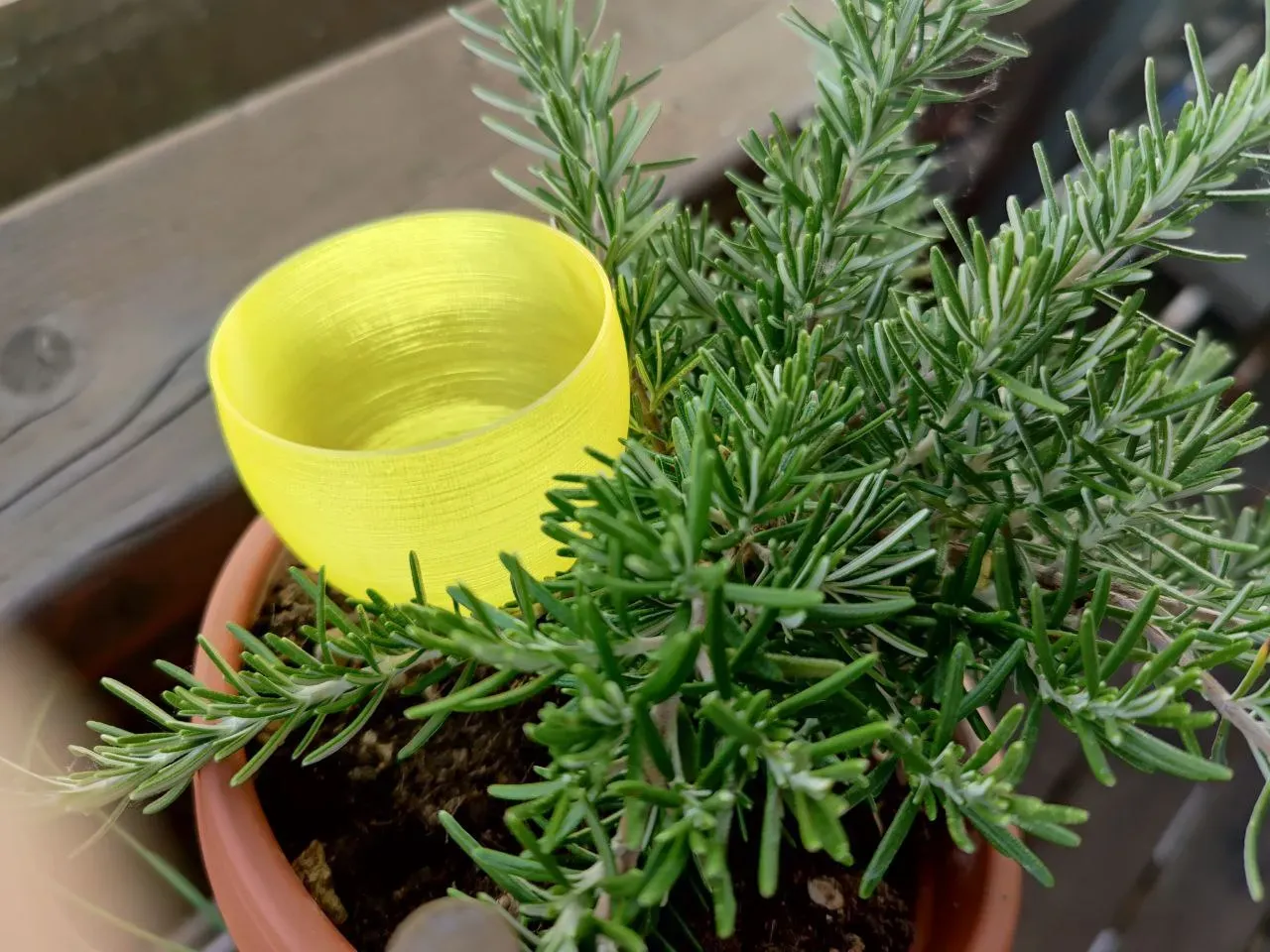 Plant watering funnel 500ml by hikaru | Download free STL model ...